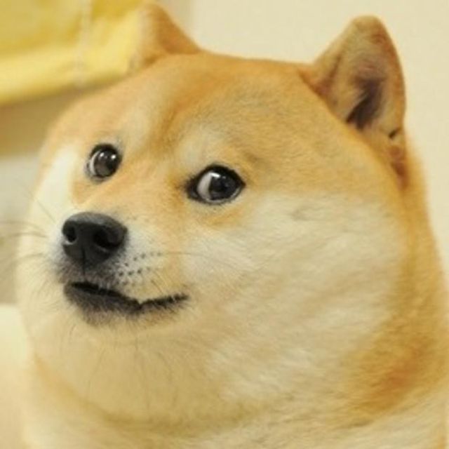 Doge MEME Generator - Create Doge Memes Online Free