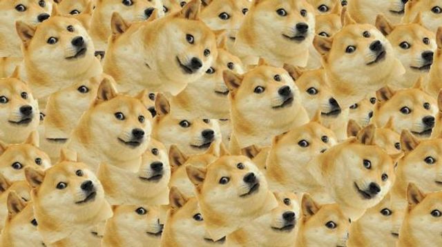 Multi Doge MEME Generator - Create Multi Doge Memes Online Free