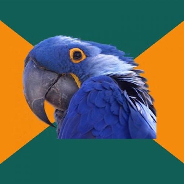 Paranoid Parrot MEME Generator - Create Paranoid Parrot Memes Online Free