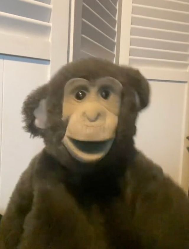 You Better Not Mess With My Gang MEME Generator - Create You Better Not Mess With My Gang Memes ...